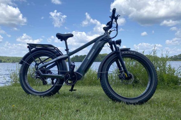 Himiway Zebra D5 Fat Tire EBike - Test and Review